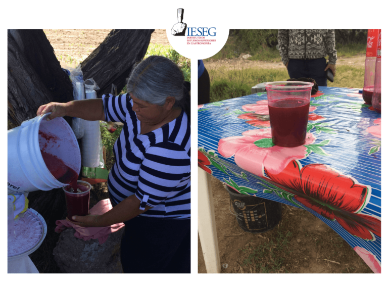 El colonche: una mirada histórica a la bebida tradicional del ...