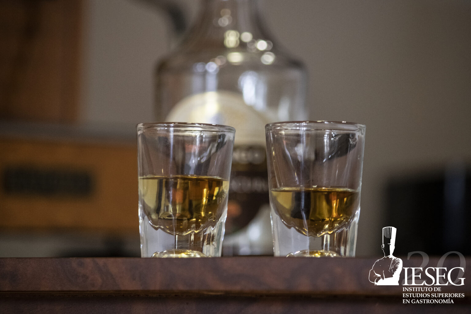 Diferencias entre Destilados y Vinos - Escuela de Gastronomía en SLP