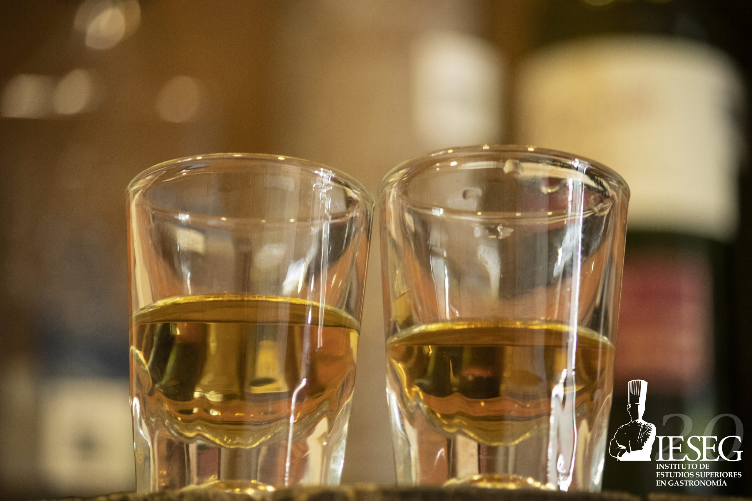 Diferencias entre Destilados y Vinos - Escuela de Gastronomía en SLP